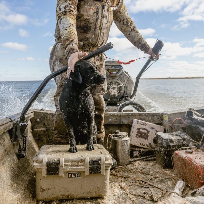 YETI LoadOut GoBox 30 2.0 Transportbox - US Army & BW Online Shop ...
